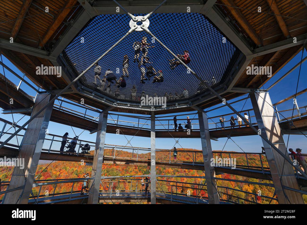 Tree top pad, visitors in the observation tower, Laurentian Region ...