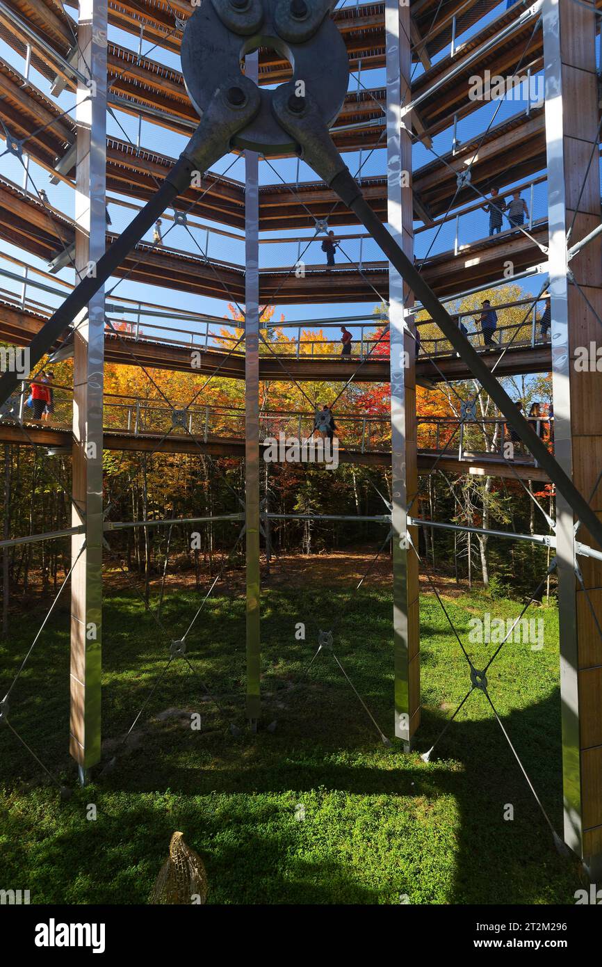Tree top pad, visitors in the observation tower, Laurentian Region ...