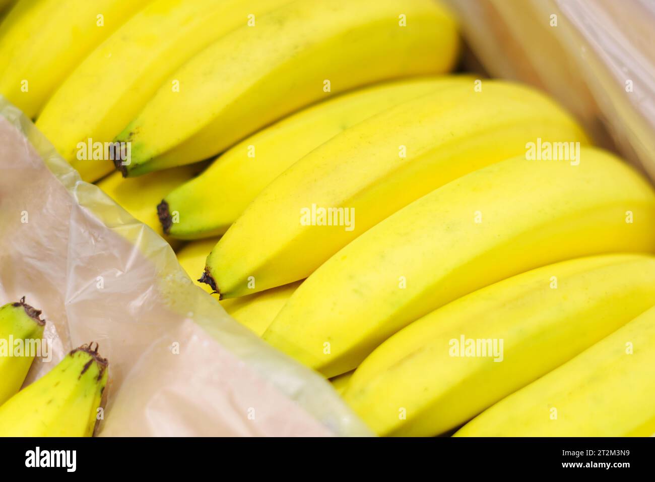 Fresh yellow bananas in close-up on the shelves of a hypermarket Stock ...
