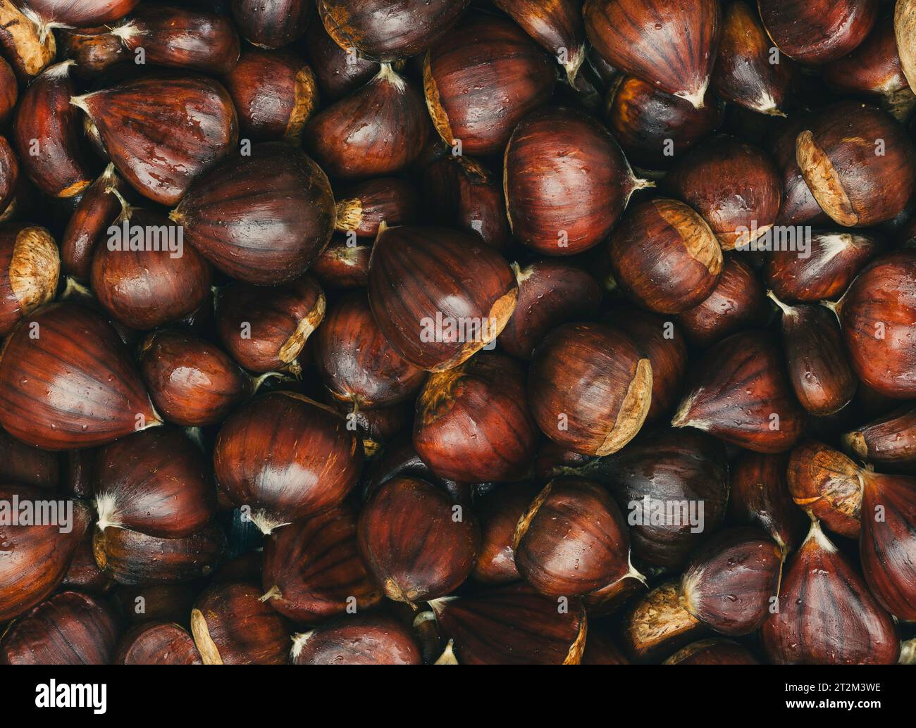 Harvest chestnuts hi-res stock photography and images - Alamy