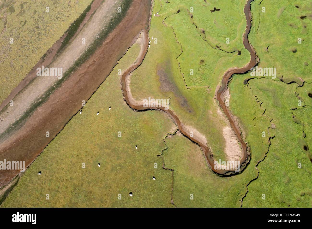 Tributaries river hi-res stock photography and images - Alamy