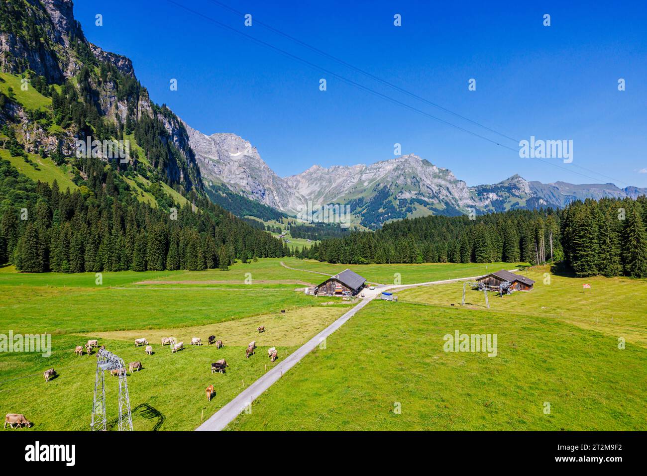 View of farm and fields above the village resort of Engelberg, central ...