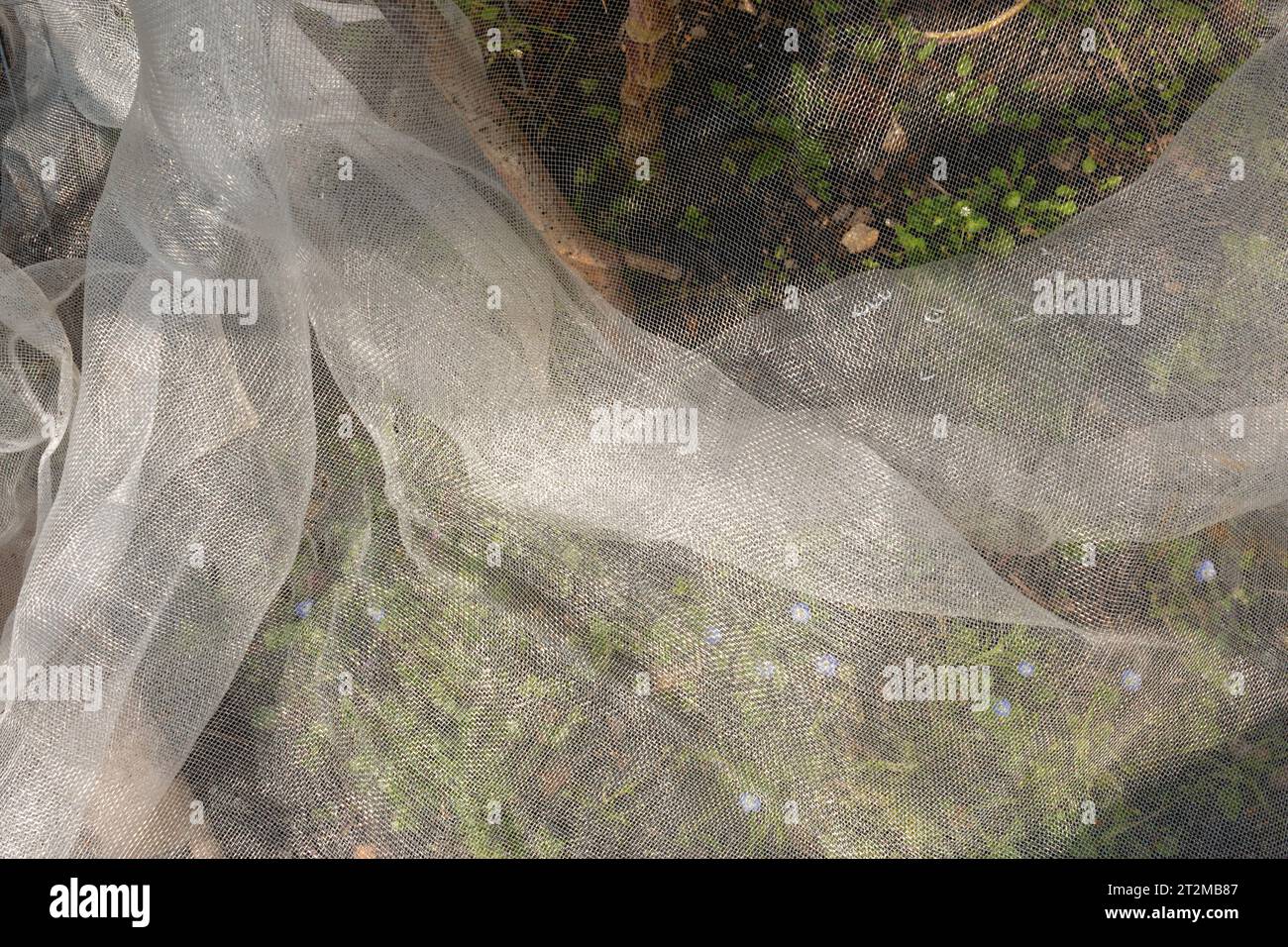 A closeup of a piece of Enviromesh fine netting for use in gardens and ...
