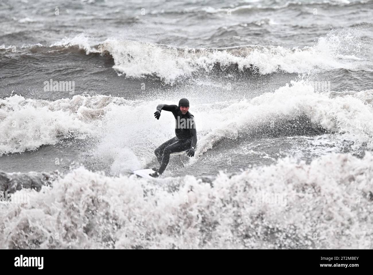 Whip fighter hi-res stock photography and images - Alamy