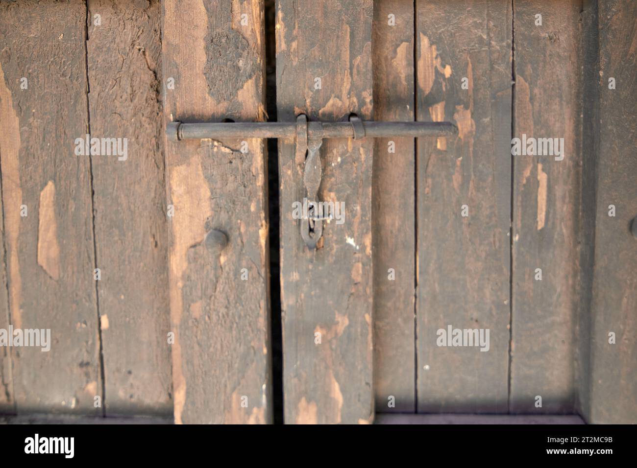 Old door made of vertical wooden planks with peeling paint. The latch ...