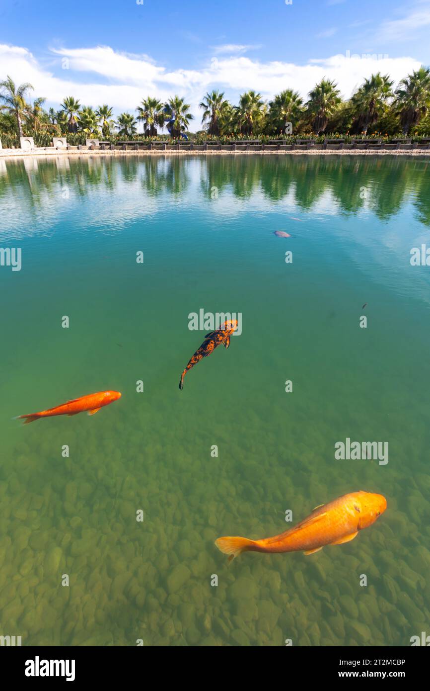 buddha statues in the famous Bacalhoa Buddha Eden Garden in Portugal ...