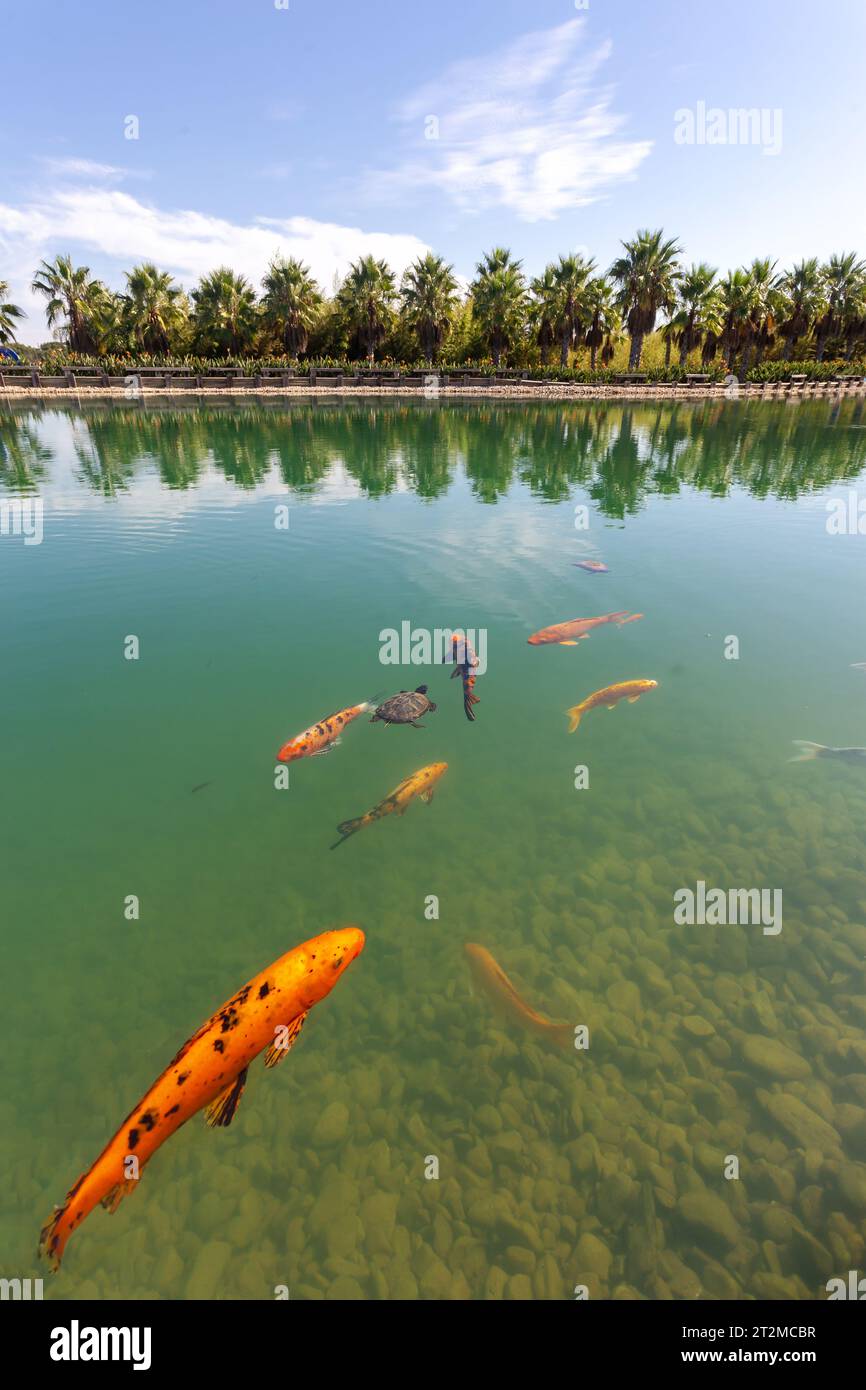 buddha statues in the famous Bacalhoa Buddha Eden Garden in Portugal ...