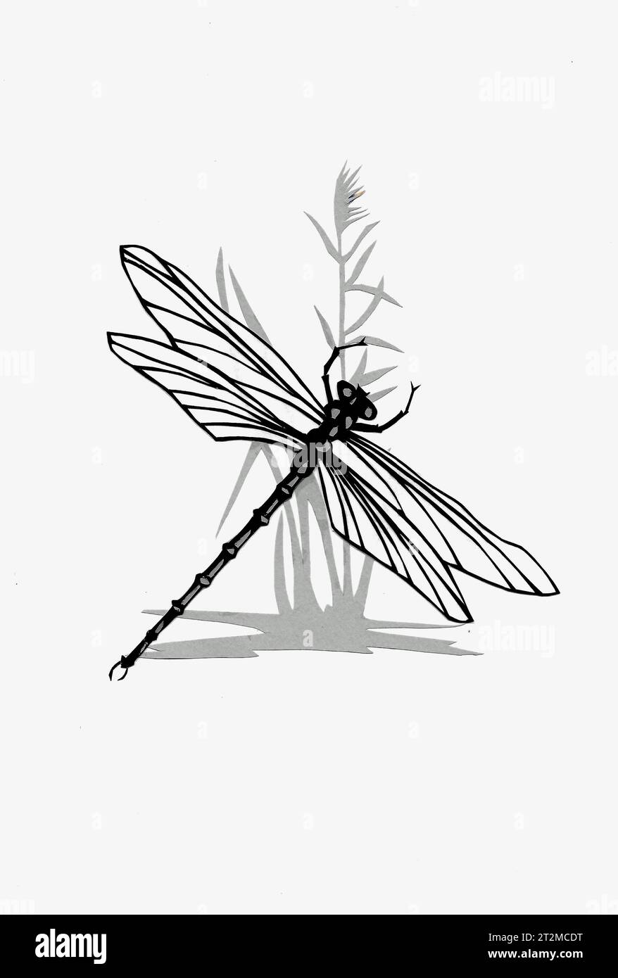 Cut paper art water Cut Out Stock Images & Pictures - Alamy