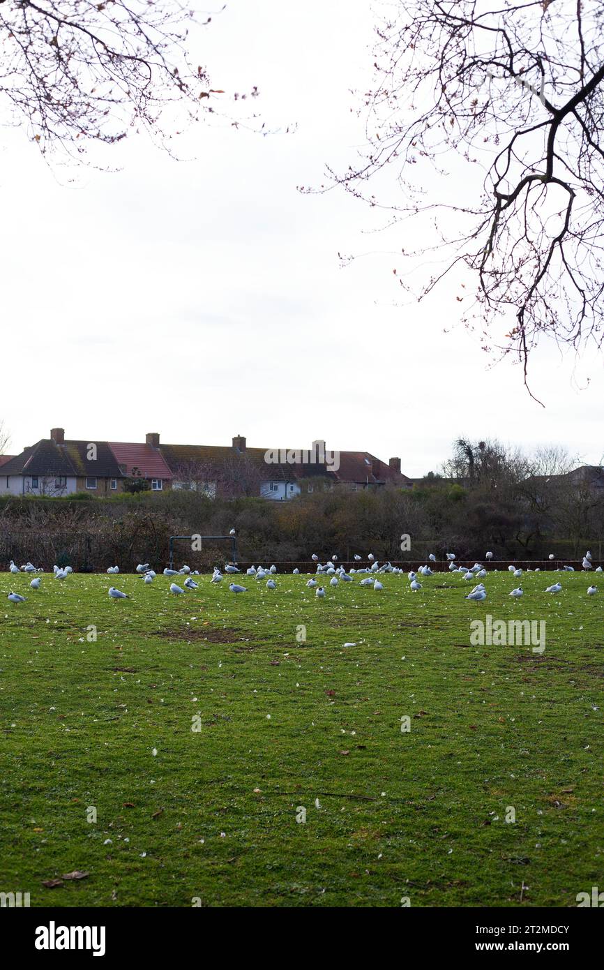 Ilford, east London Stock Photo - Alamy