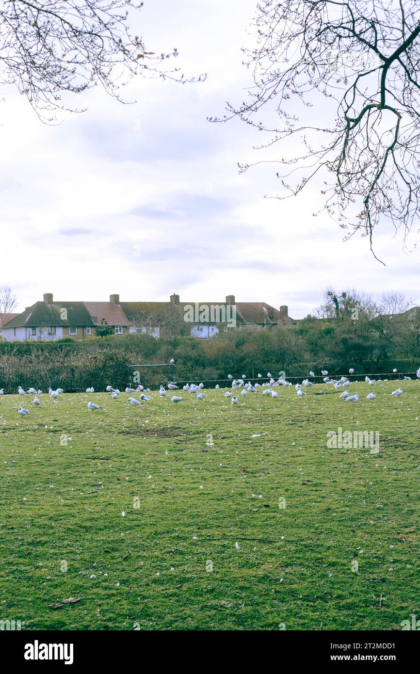 Ilford, east London Stock Photo - Alamy