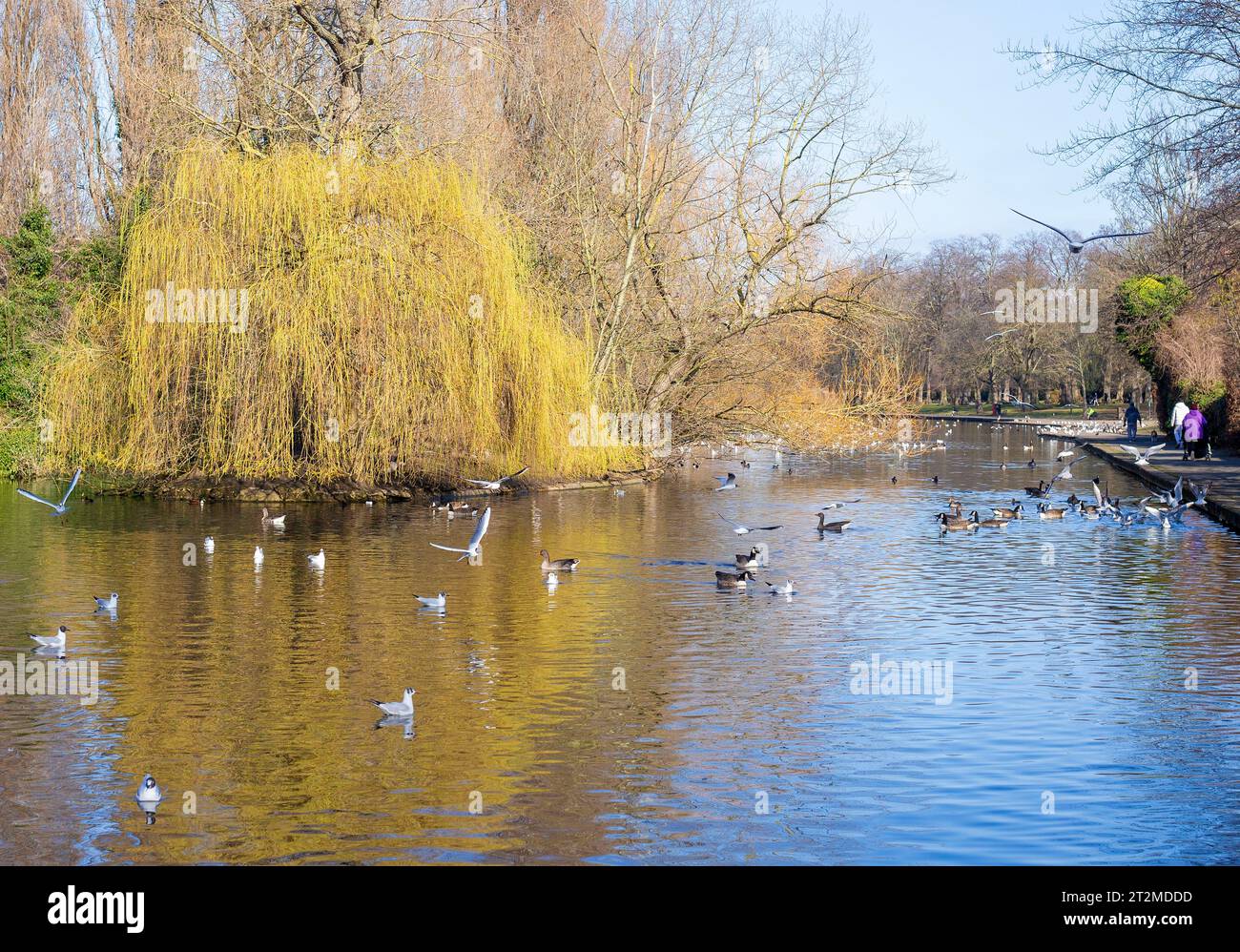 Barking, east London Stock Photo - Alamy