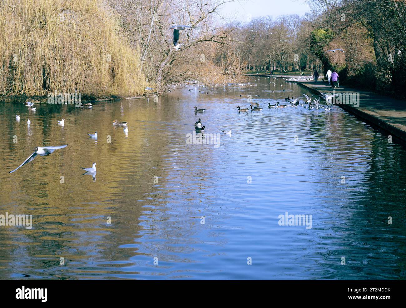Barking, east London Stock Photo - Alamy