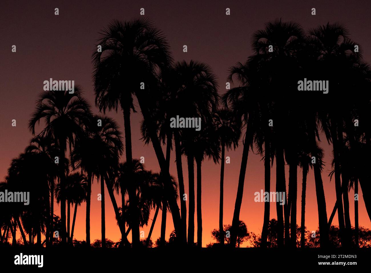 Entre rios argentina hi-res stock photography and images - Alamy