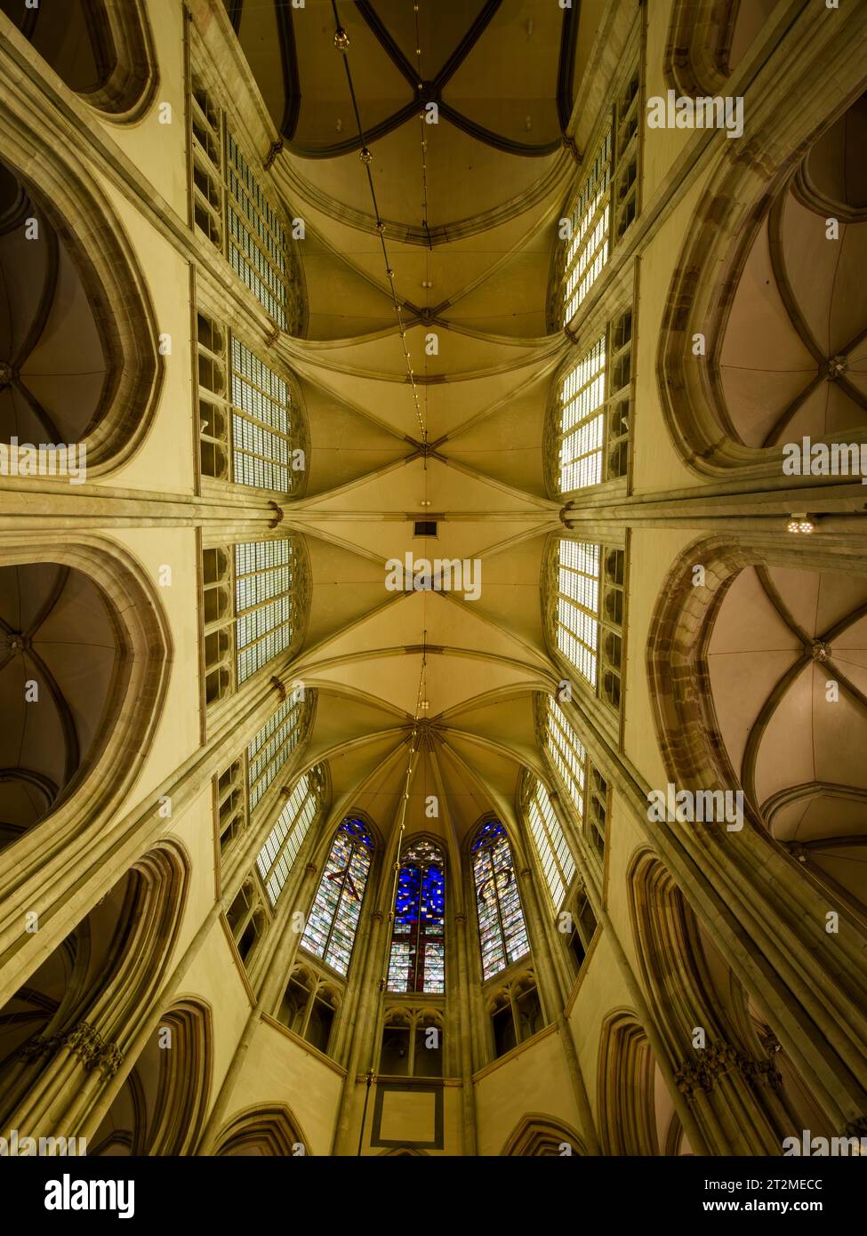 The ceiling St Martin's Cathedral in the historic inner city of Utrecht ...