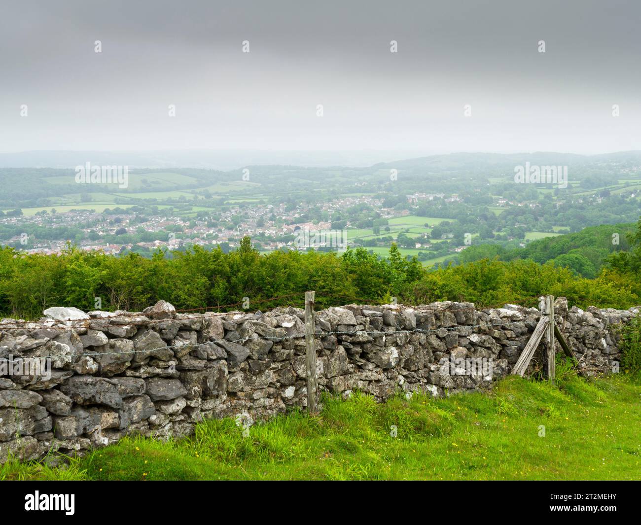 A typical dry stone wall on Wavering Down in the Mendip Hills ...