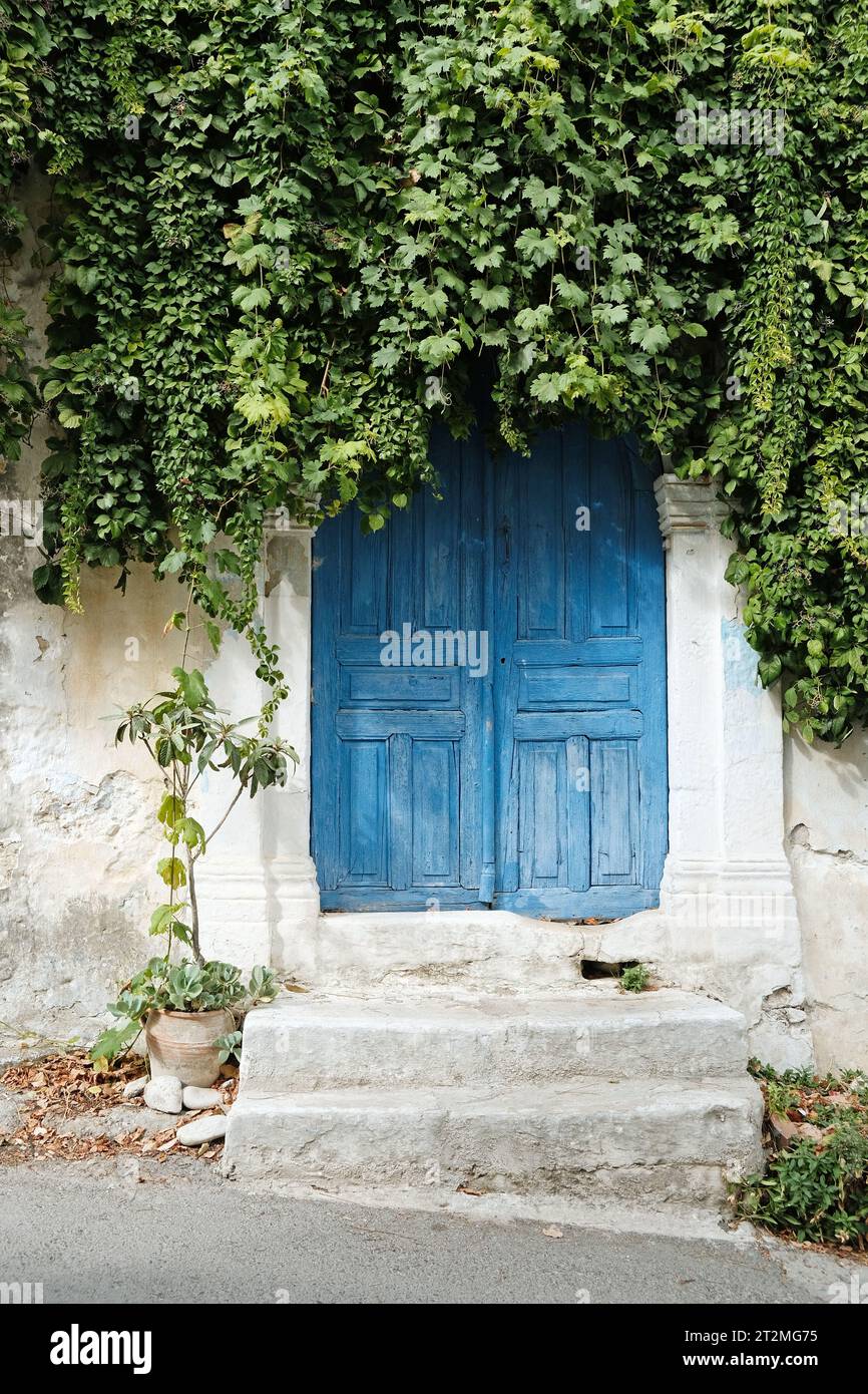 Old door on the Greek island of Crete covered in creepers in summer ...