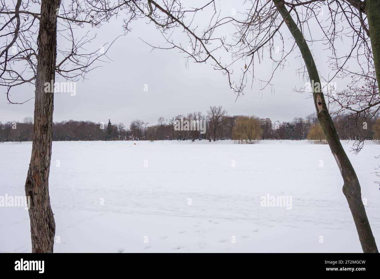Moscow, Russia. 18 December 2016 : People walking around Novodevichy ...