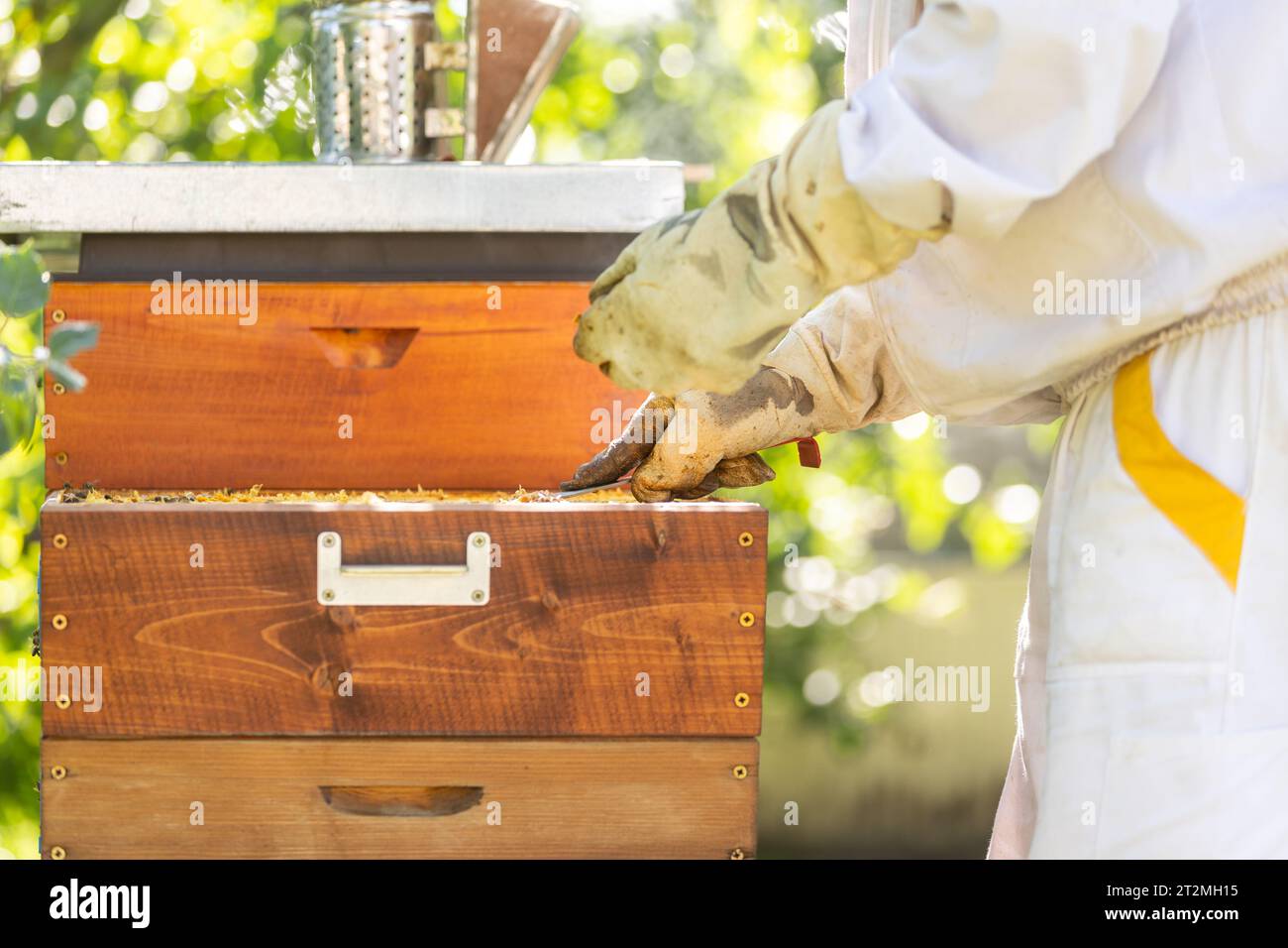Beekeeper doing maintenance on his huge apiary, removing old medication ...
