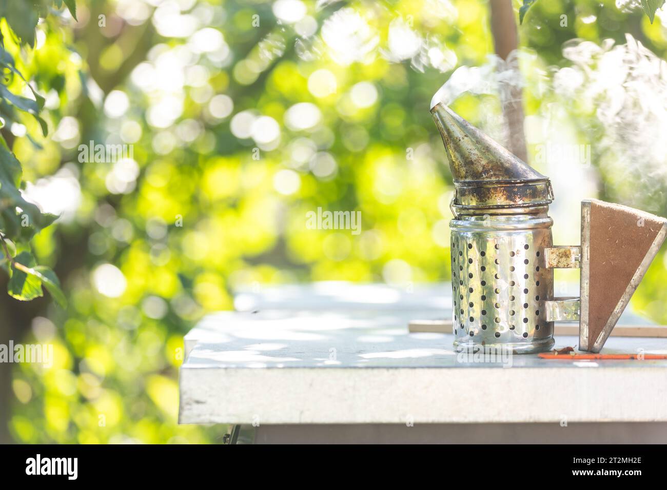 A tools of the beekeeper, smoking a smoker for bees, beekeeping concept ...