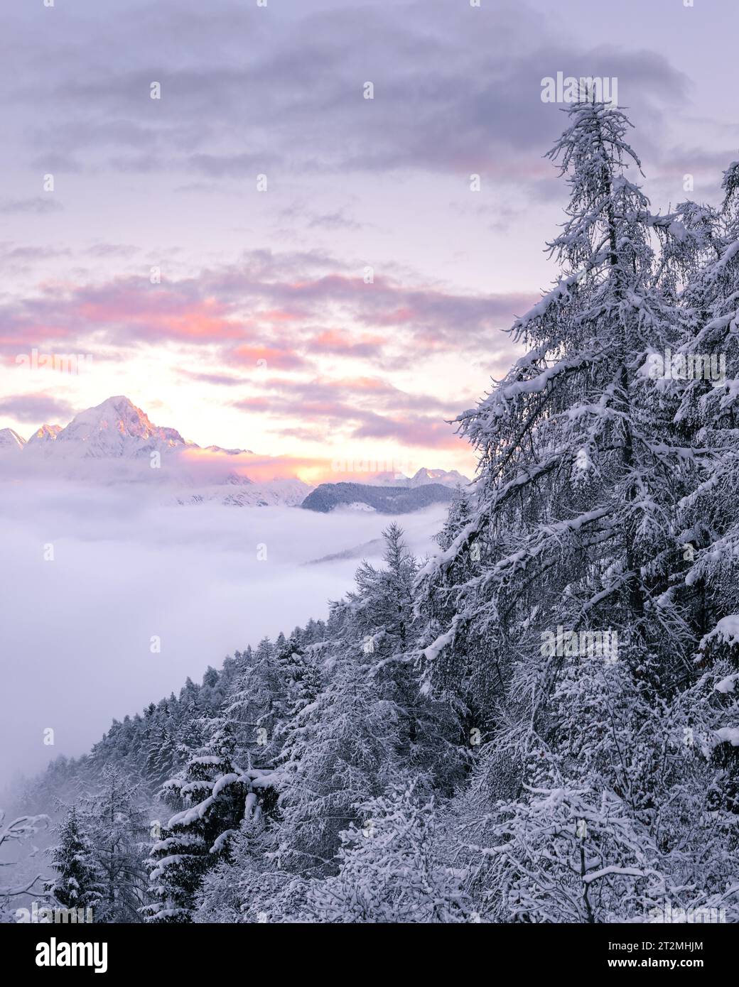 Winter landscape view with snow-covered trees and mountain peaks ...
