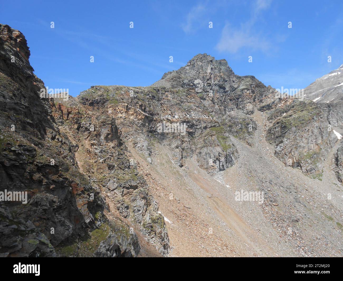 Pini di montagna hi-res stock photography and images - Alamy