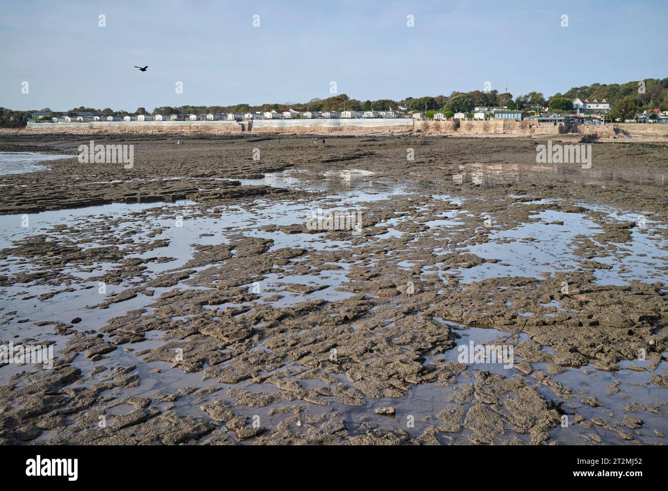 Sully island hi-res stock photography and images - Alamy