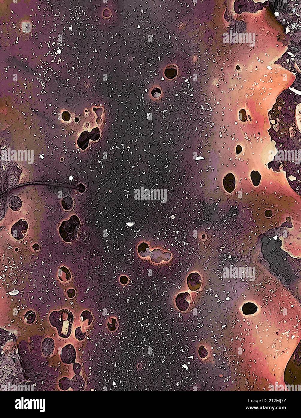 Holes in skin hi-res stock photography and images - Alamy