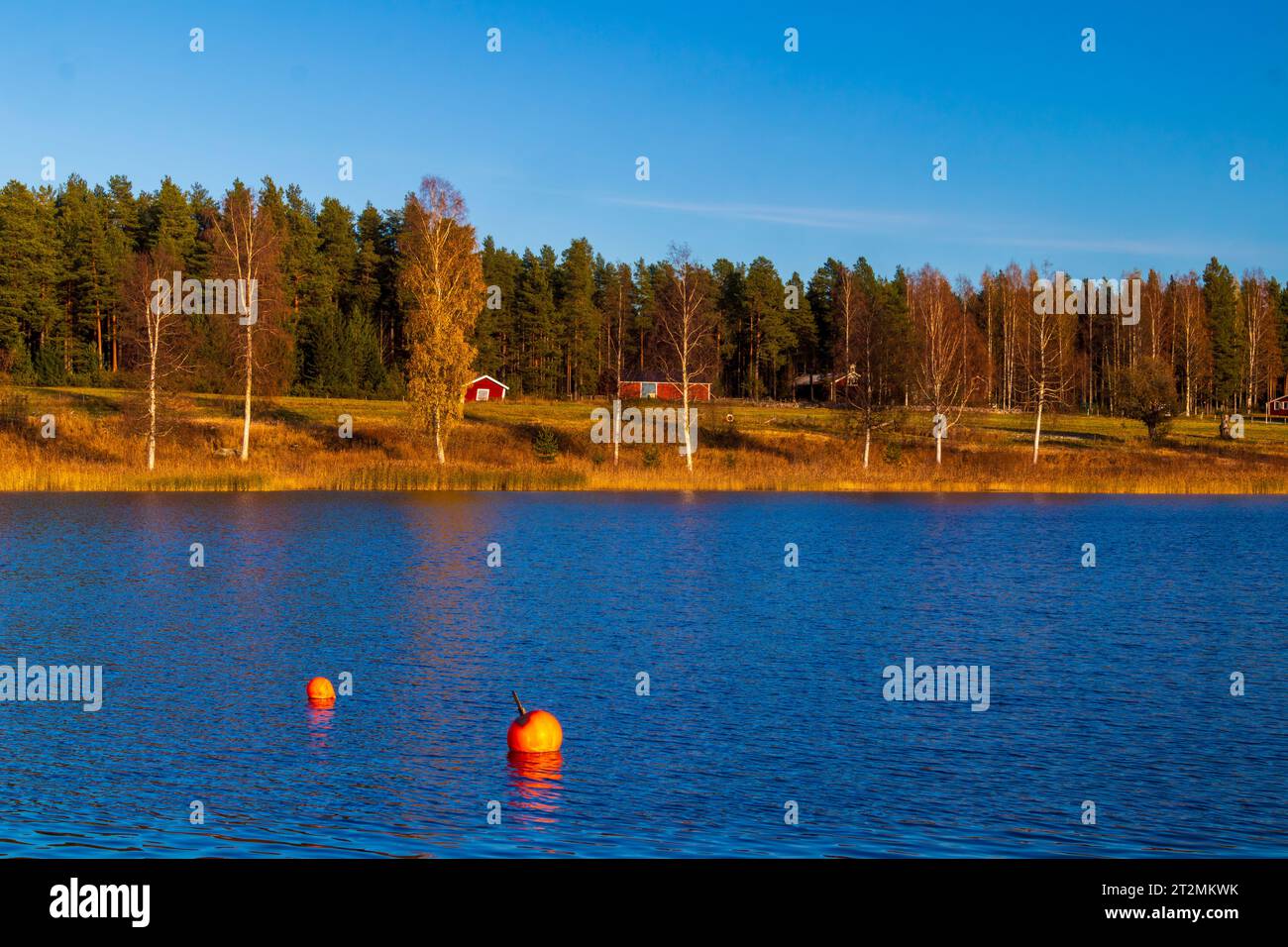 Beautiful fall colors trees hi-res stock photography and images - Alamy