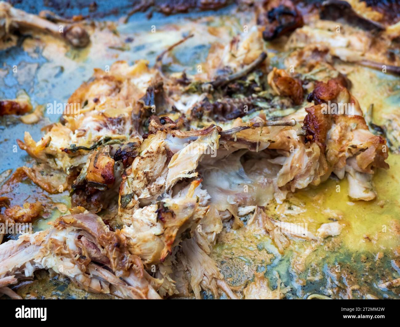 Skin and bones hi-res stock photography and images - Alamy