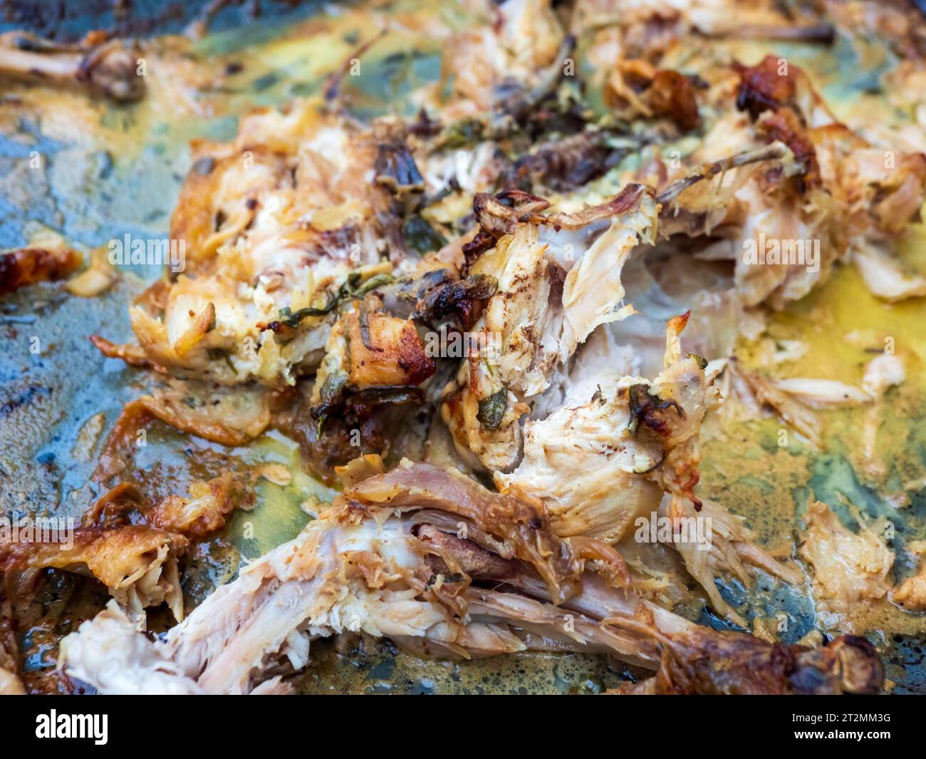 Skin and bones hi-res stock photography and images - Alamy