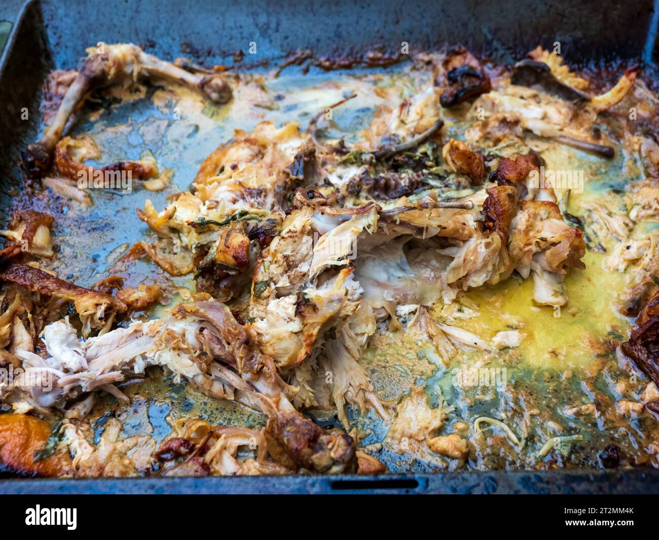 Skin and bones hi-res stock photography and images - Alamy