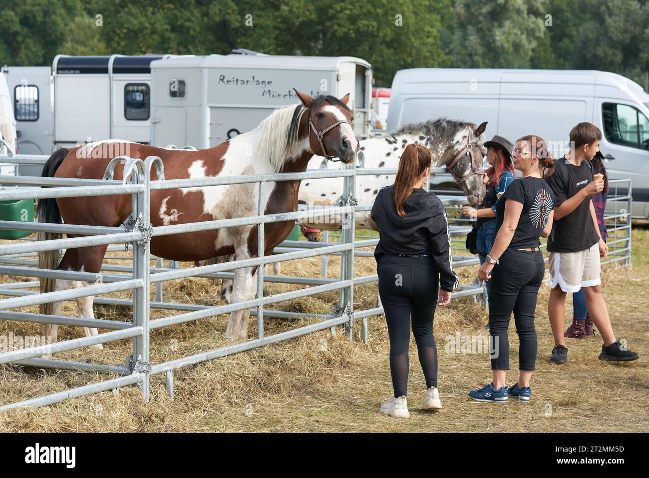 Pferdemarkt hi-res stock photography and images - Alamy