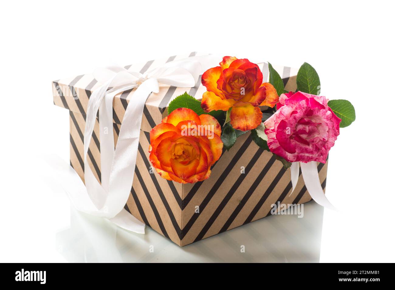gift box with ribbons and beautiful roses inside, isolated on a white ...