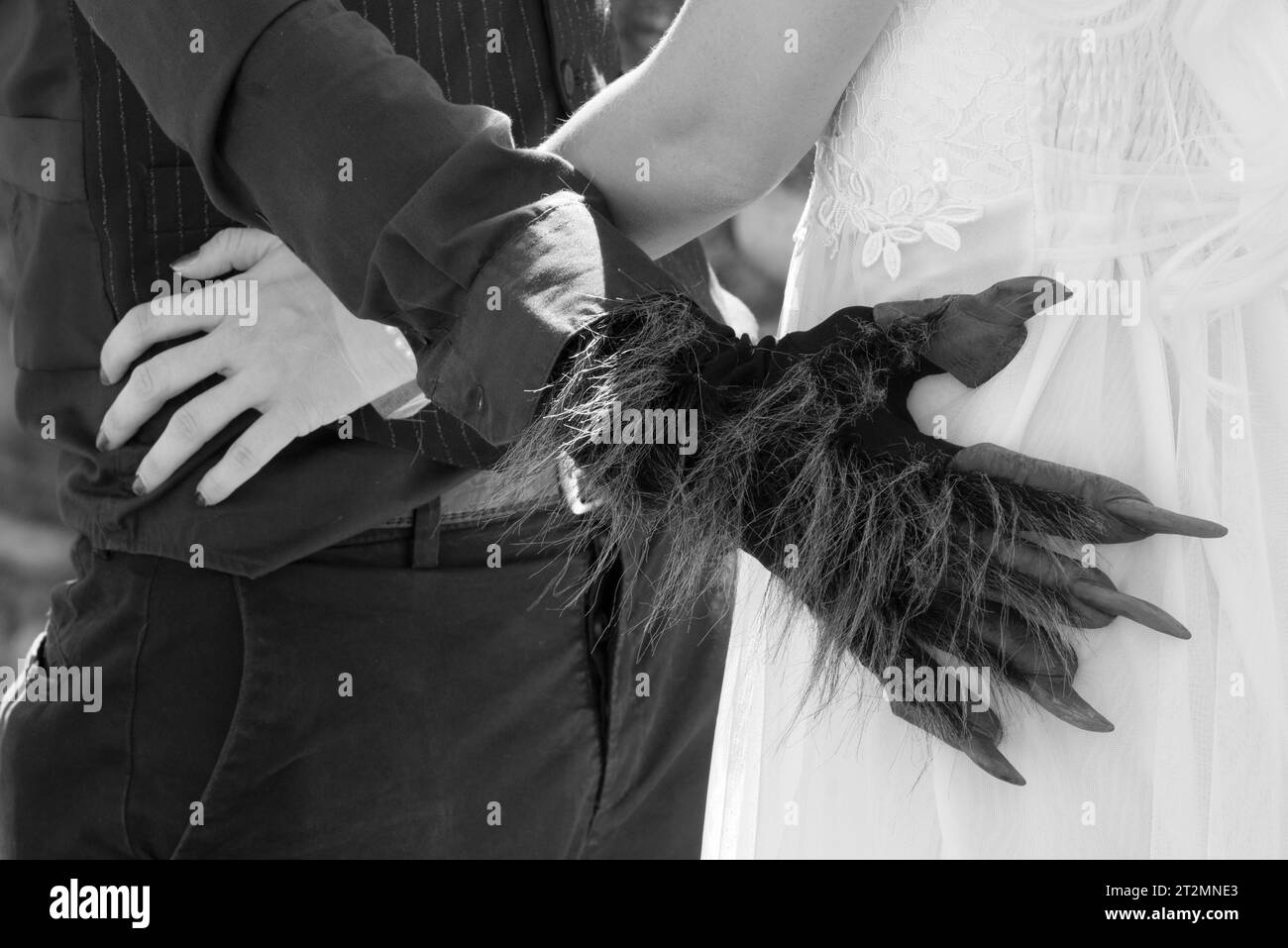 Italy, Cosplay Festival, Cosplay Werewolf Gently Hugs a Woman Stock ...