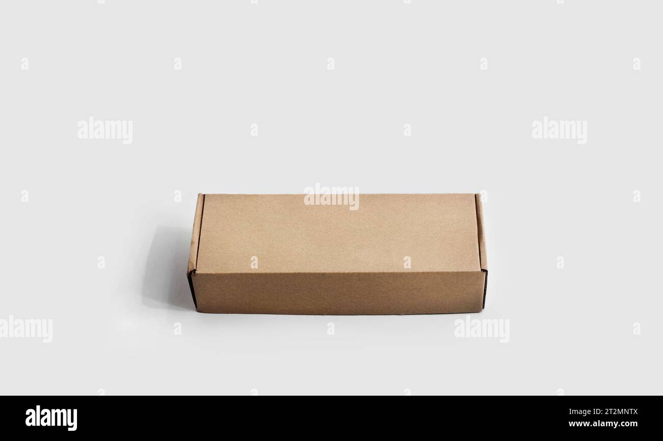 Rectangular cardboard parcel box on a light background. No people, no ...