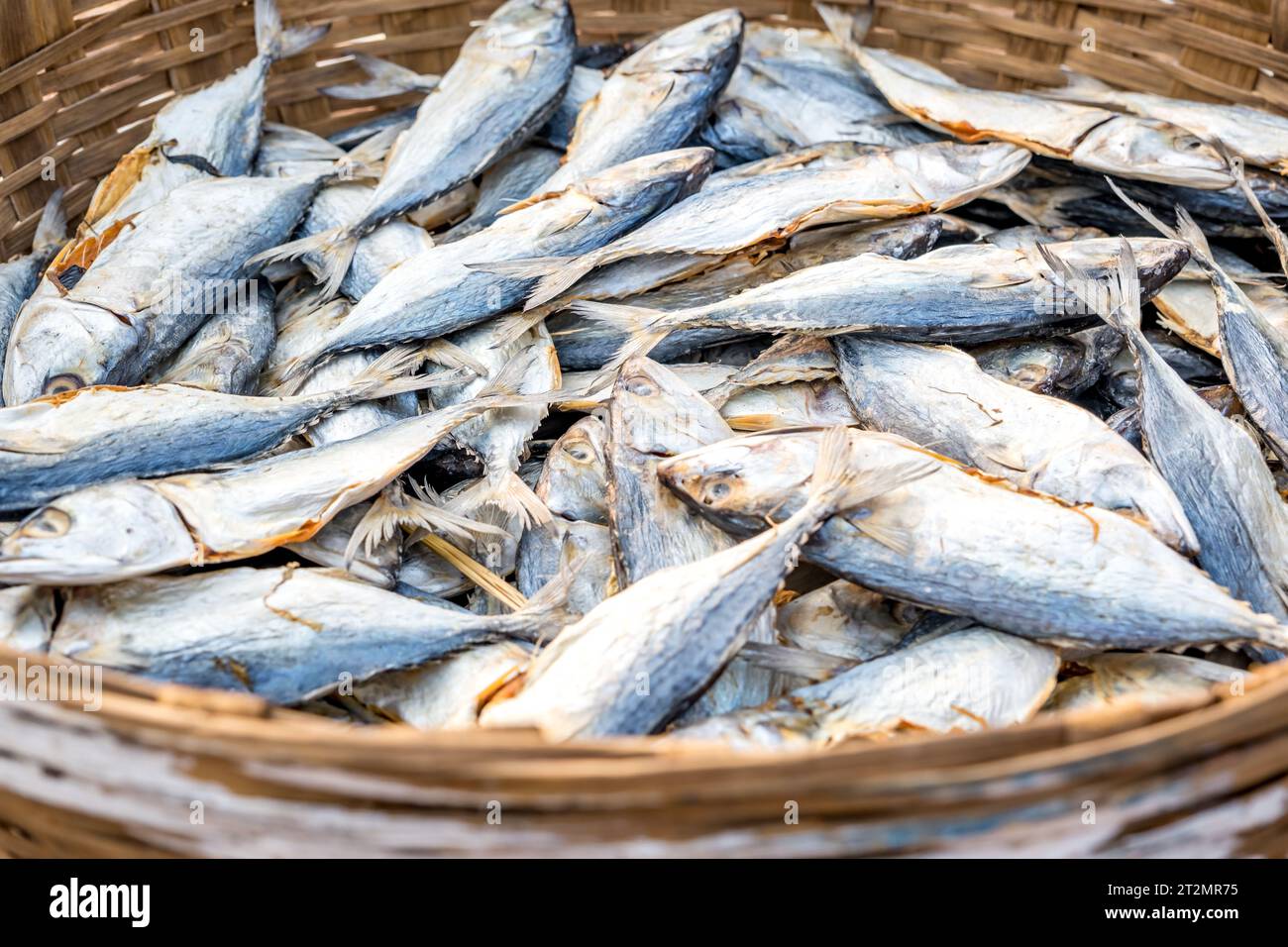 rows of drying mackerel or saba fish on the road by the ocean in an ...
