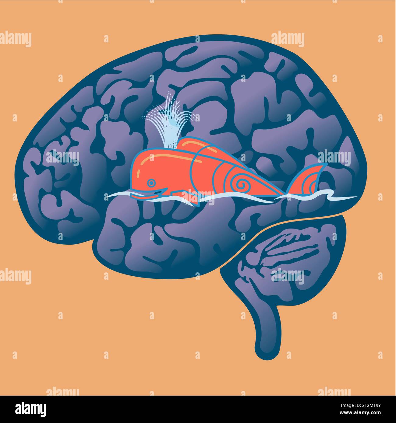 Whale anatomy hi-res stock photography and images - Alamy