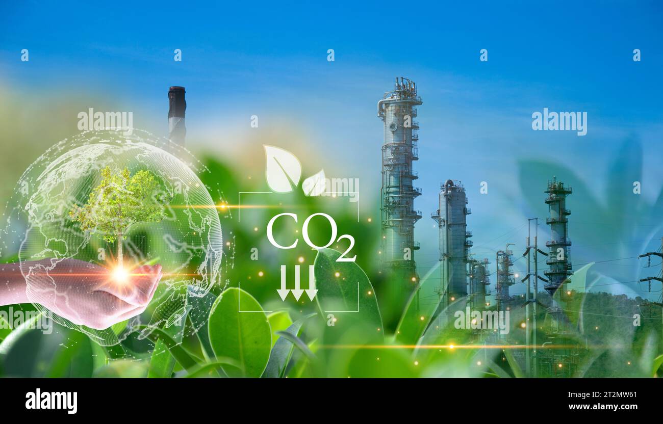 Sustainable development and business operations based on renewable ...