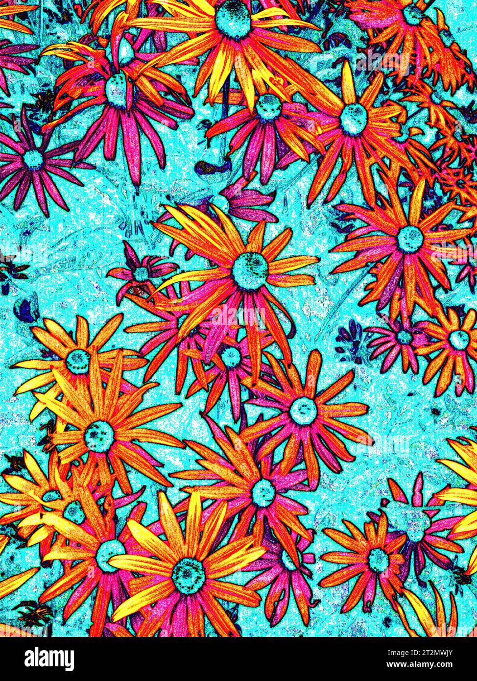 Susan black eye hi-res stock photography and images - Alamy