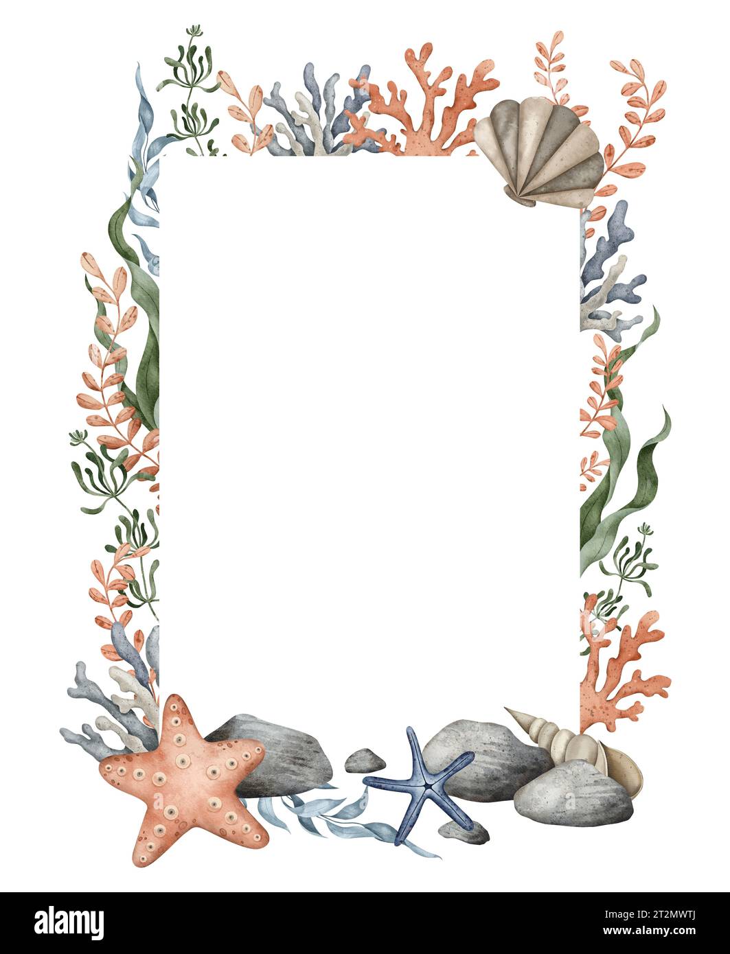 Vertical frame of sea Pebbles, marine coral, starfish, seaweed algae ...