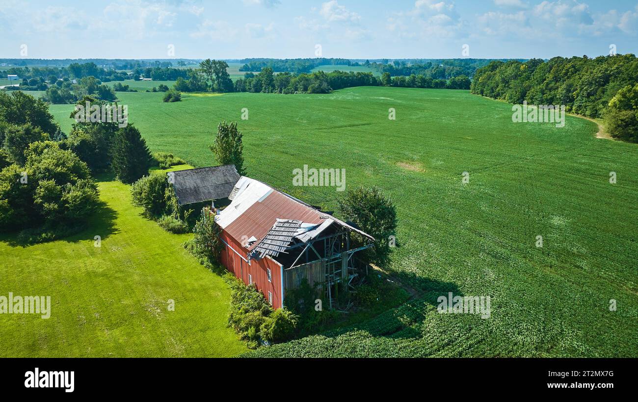 Soybean farm with brown barn and red barn with partially blown off roof ...