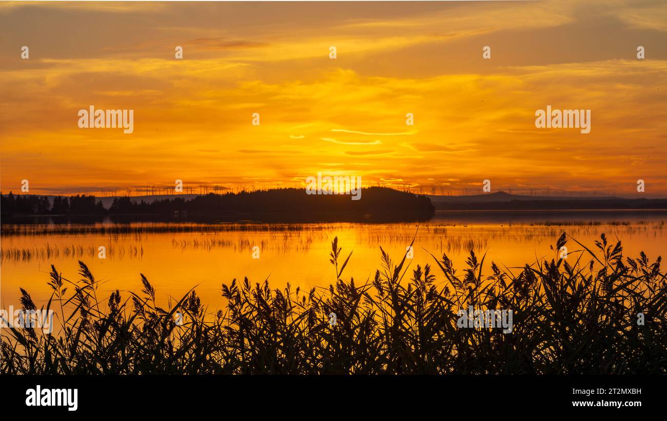 Summer golden colors hi-res stock photography and images - Alamy