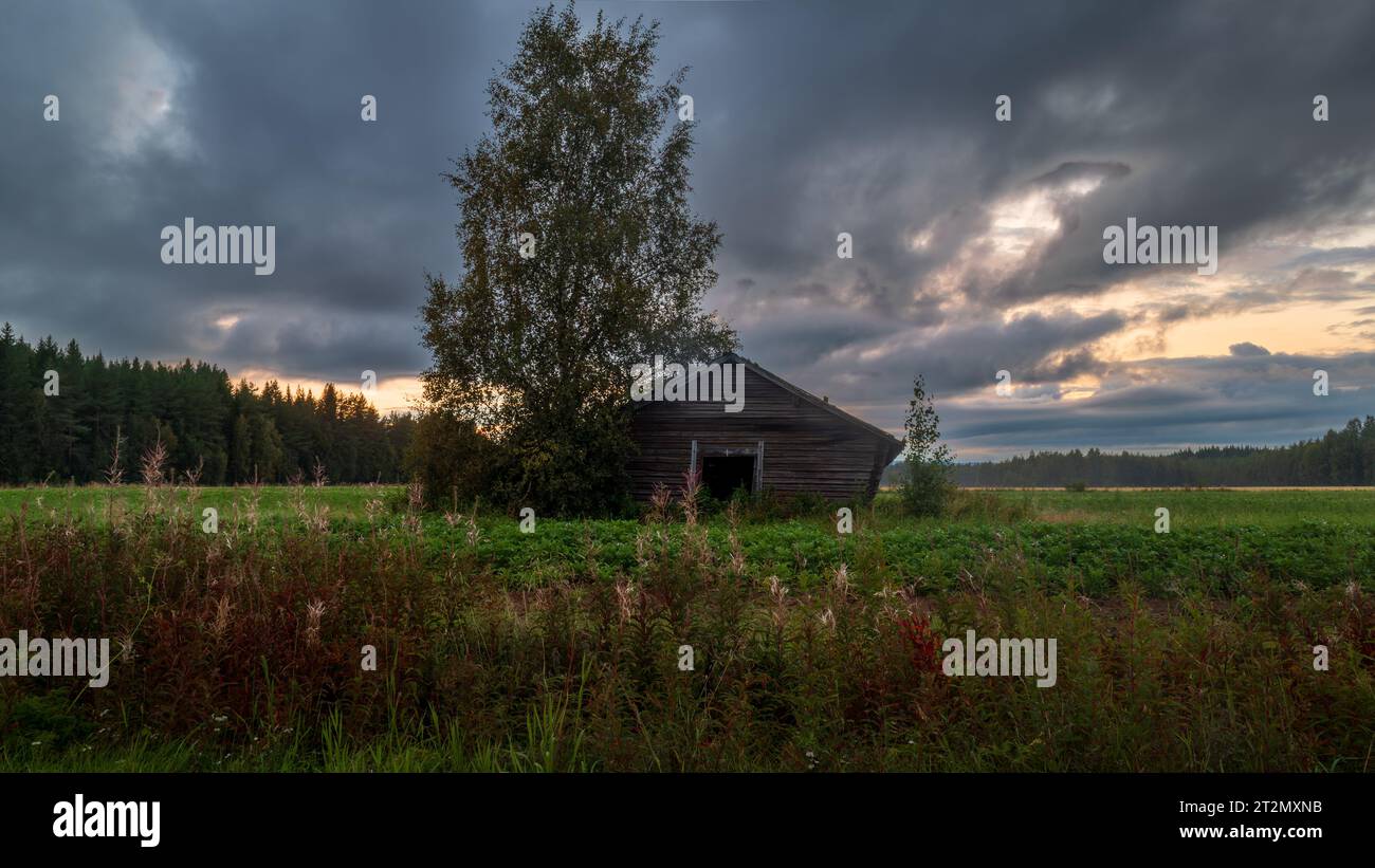 Old barn in golden sunset Stock Photo - Alamy