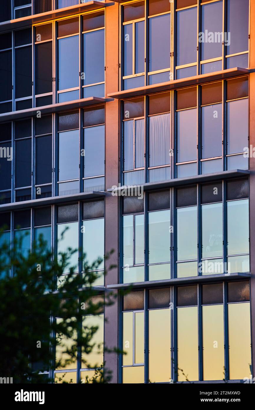 Blue and purple reflected lighting hitting tall office skyscraper ...