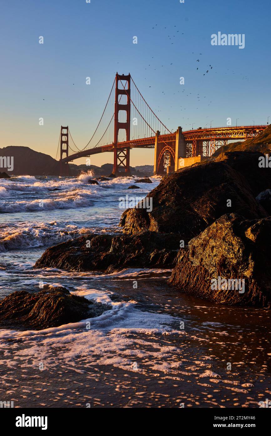 Golden water around black boulder on shore with Golden Gate Bridge in ...