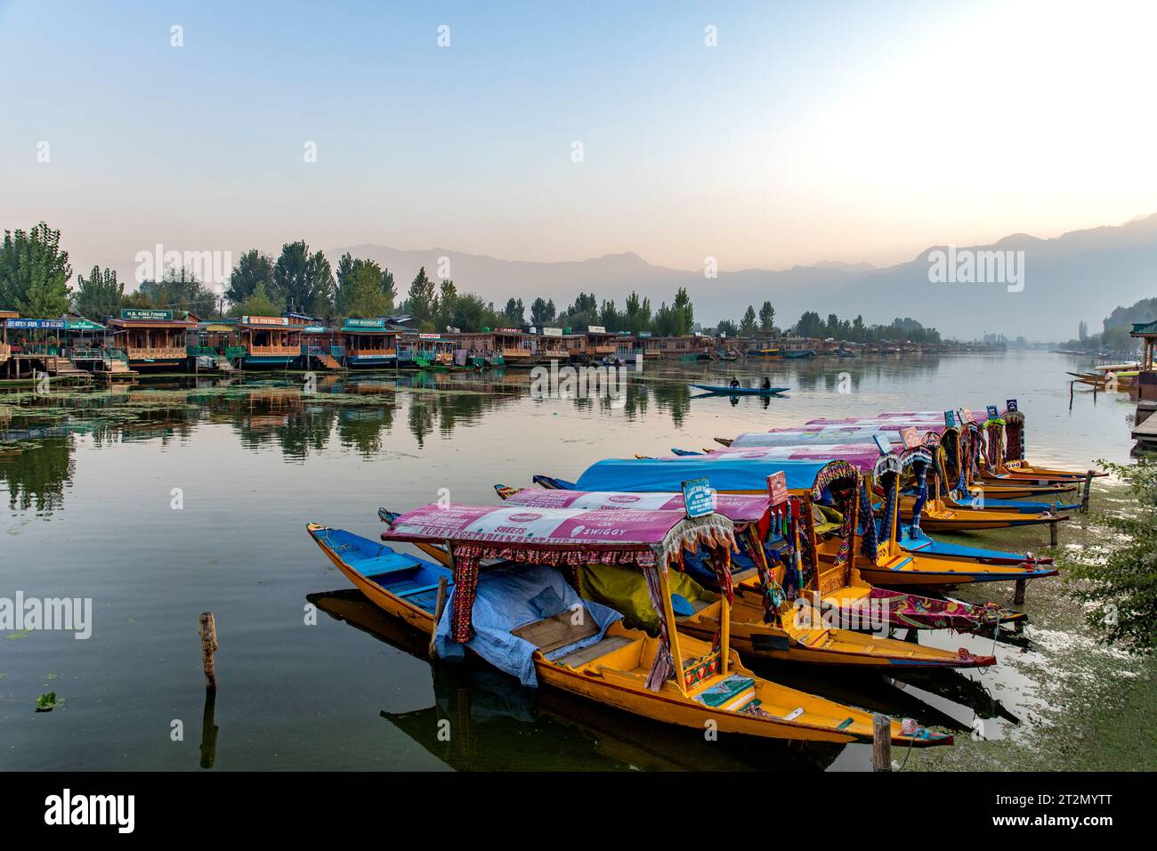 Beautiful view of the colorful Shikara boats floating on Dal Lake, Srinagar, Kashmir, India. The ...