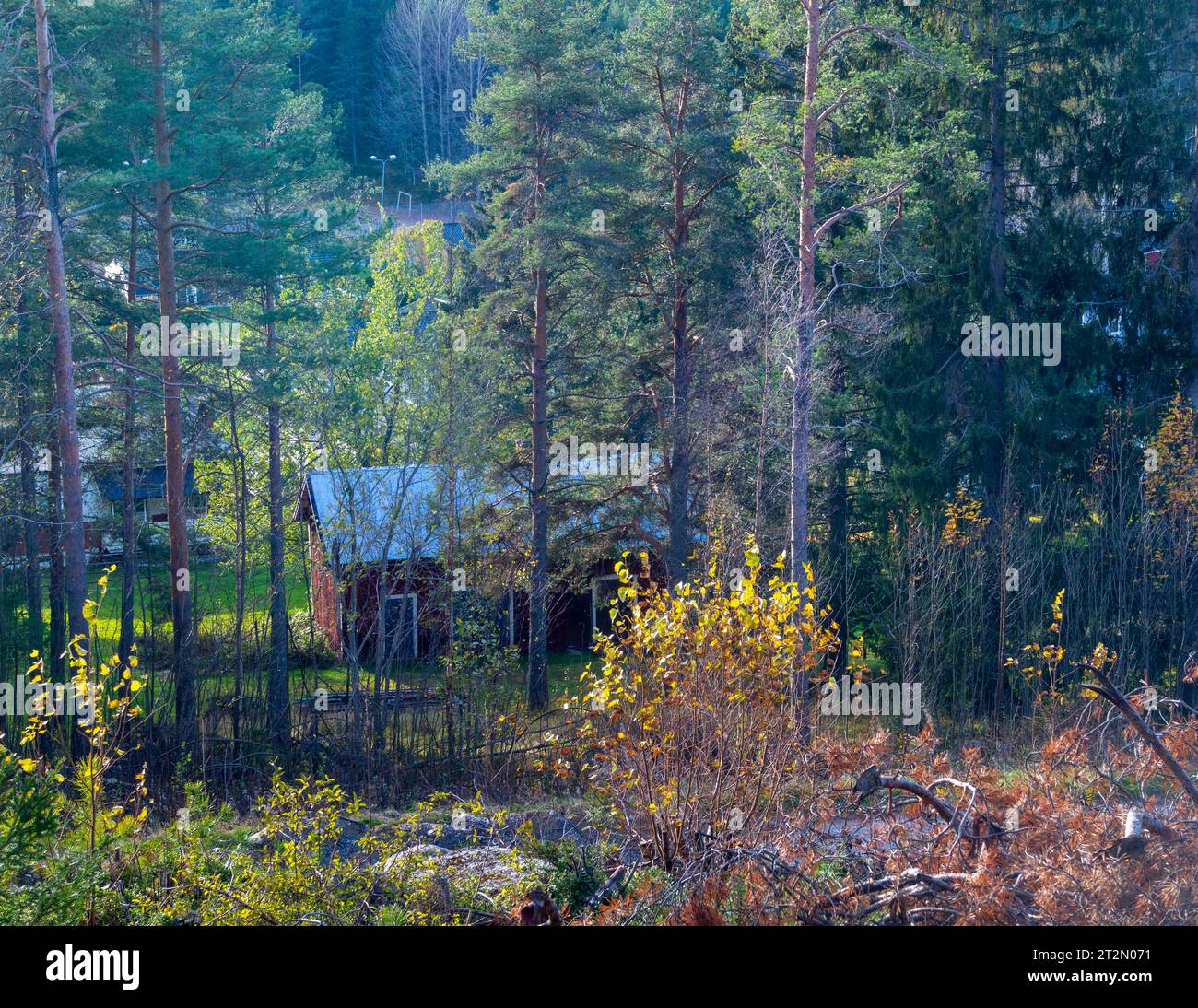 Sweden fall hi-res stock photography and images - Alamy