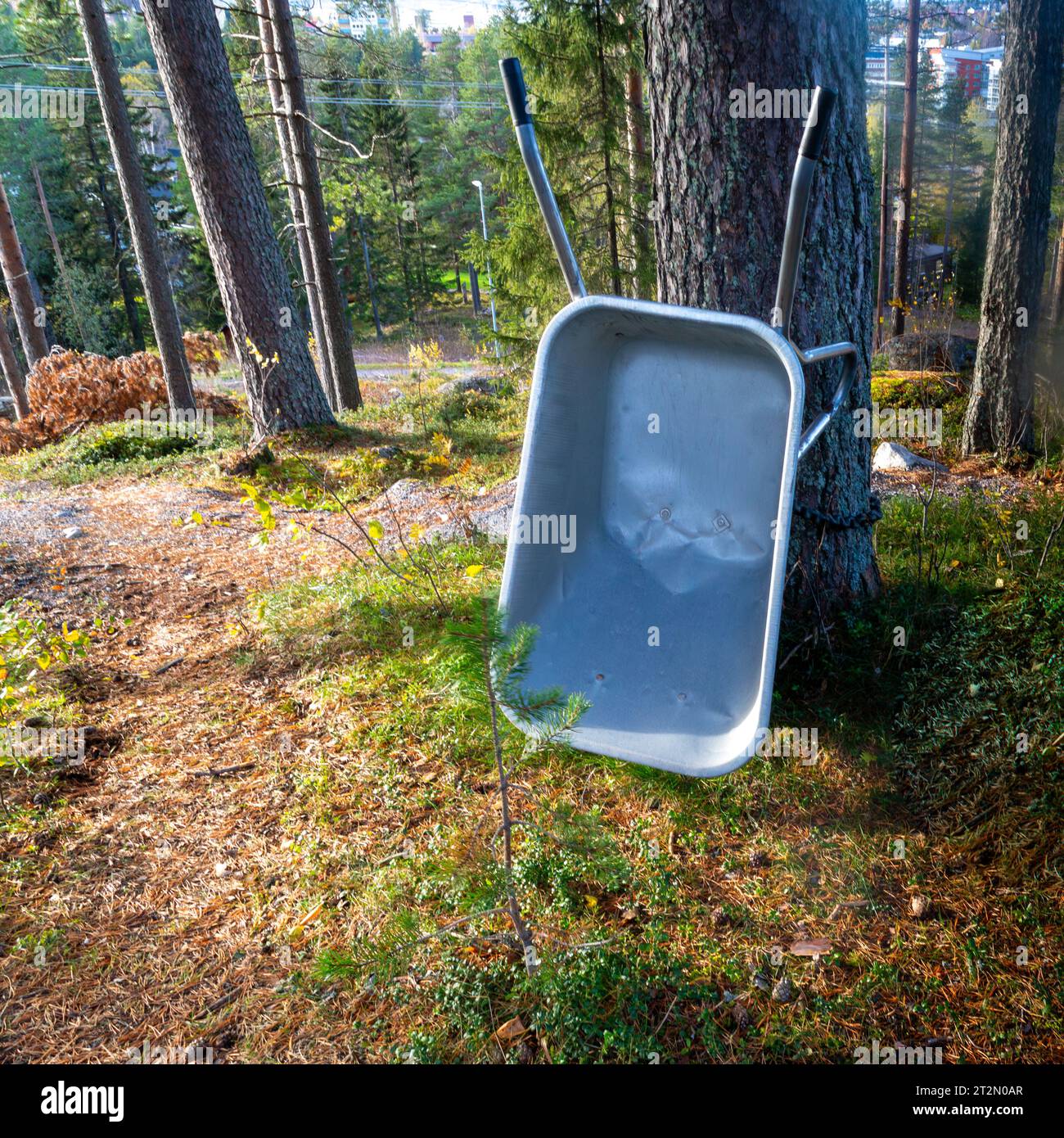 wheel barrow in the forest Stock Photo - Alamy
