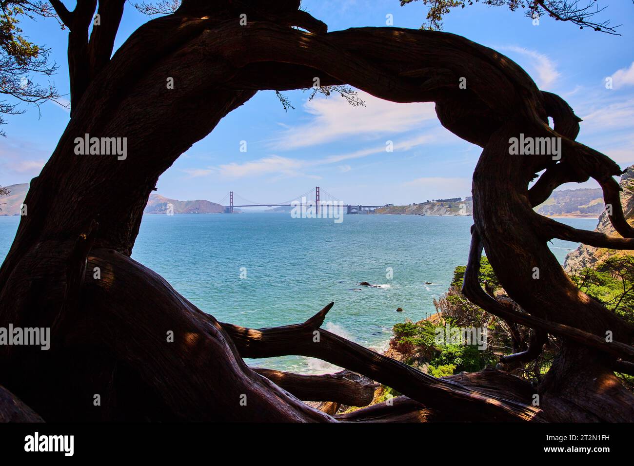 San Francisco Bay framed by circular driftwood moon gate with Golden ...