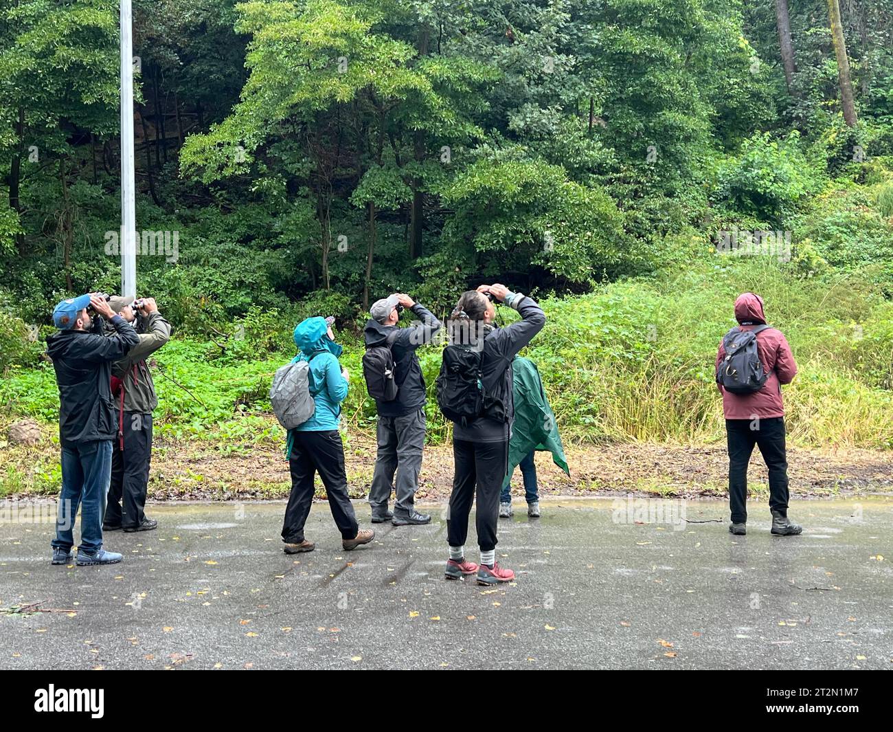 Group of bird watchers exploring for birds in Prospet Park in Brooklyn ...